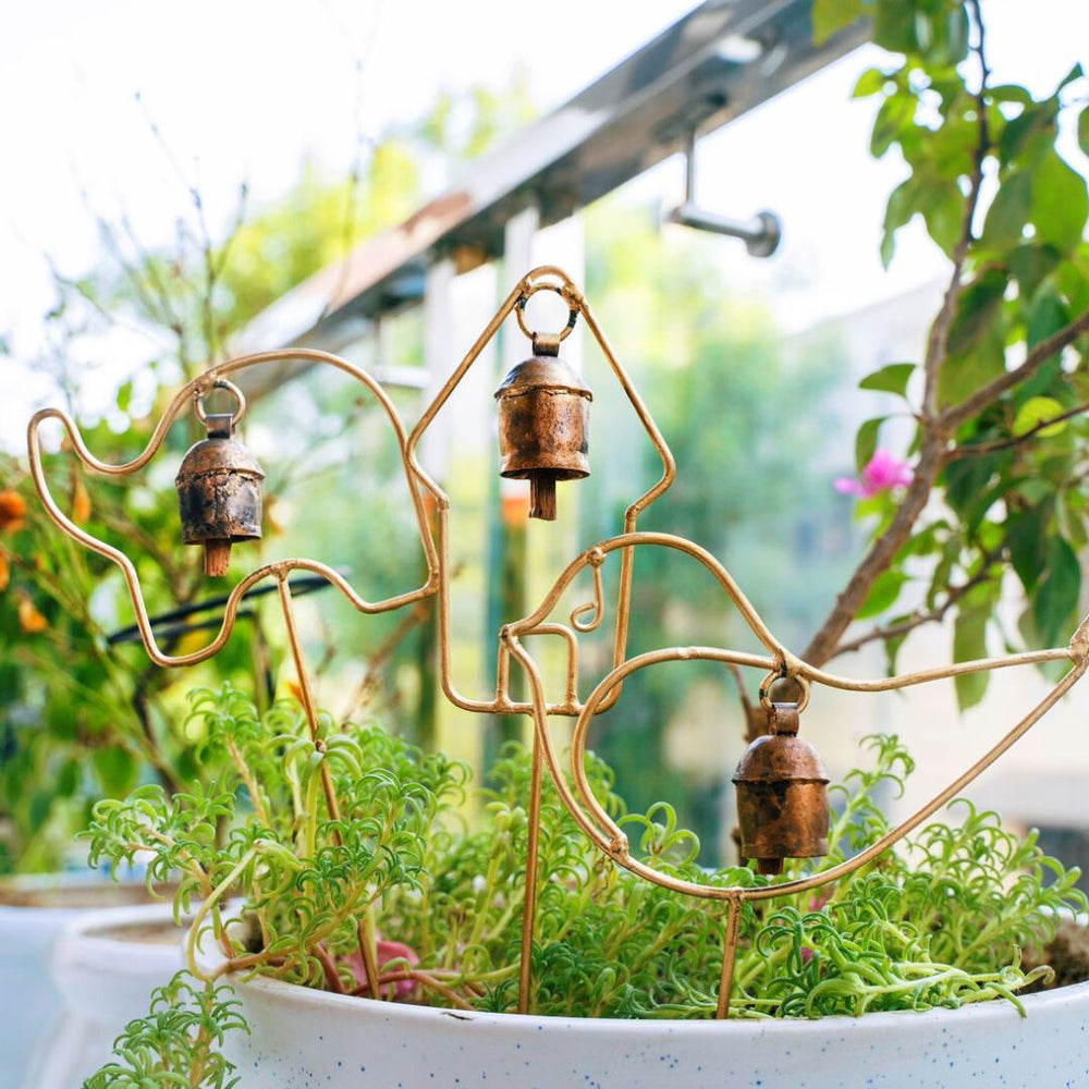 Assorted Garden Stake | Atrangi Garden | Atrangi Studio